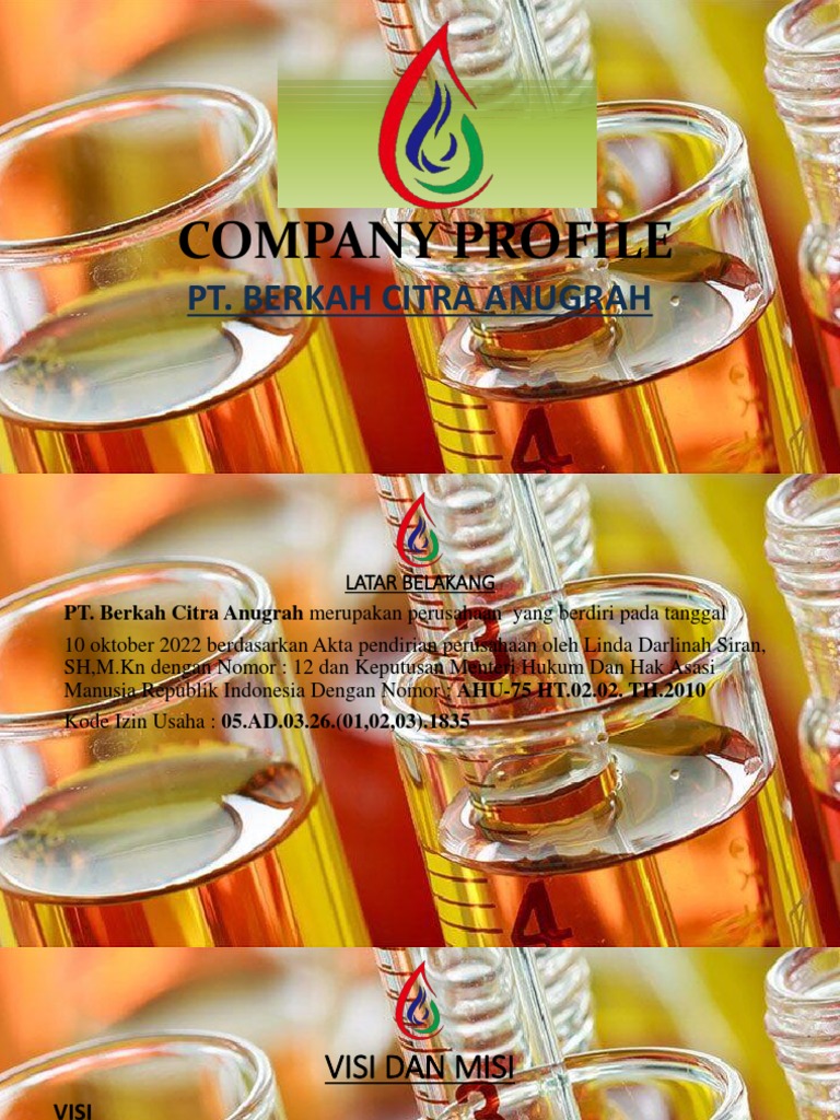 Company Profile PT Berkah Citra Anigrah | PDF