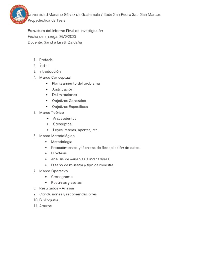 Estructura Del Informe | PDF