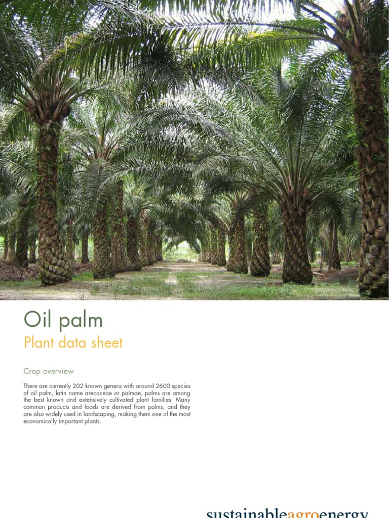 Social Impact Fact Sheet | PDF