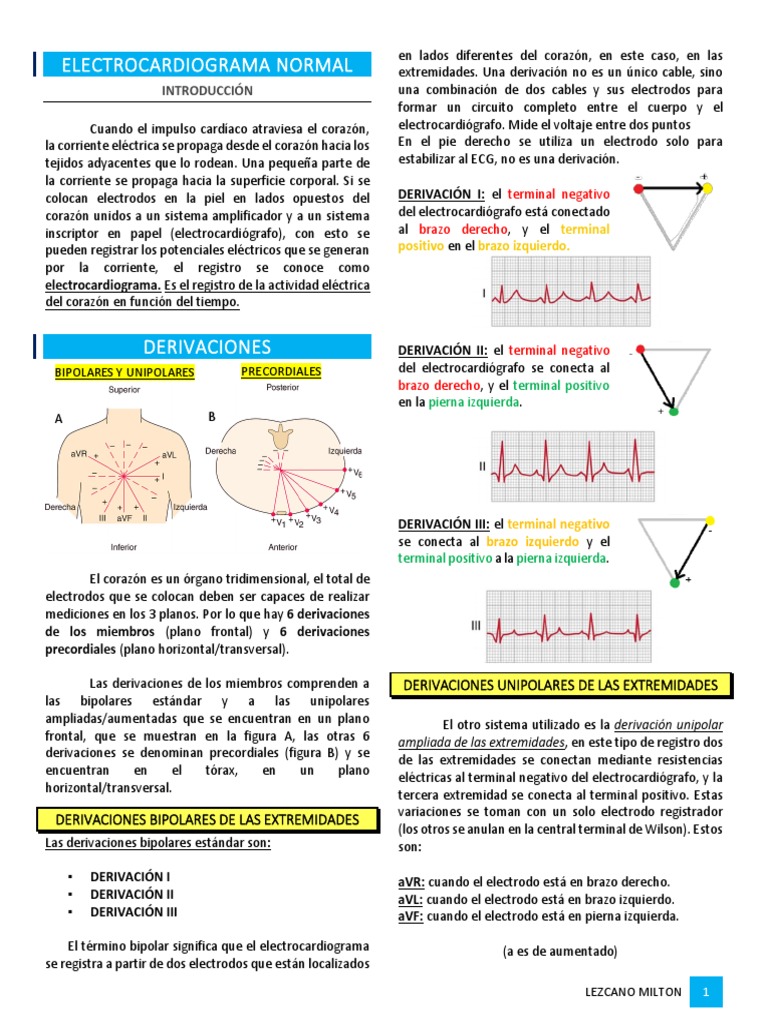 5.electrocardiograma Normal | PDF | Electrocardiografia | Fisiología