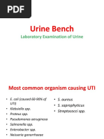 Lab Report 1 Urinalysis | PDF | Urine | Kidney