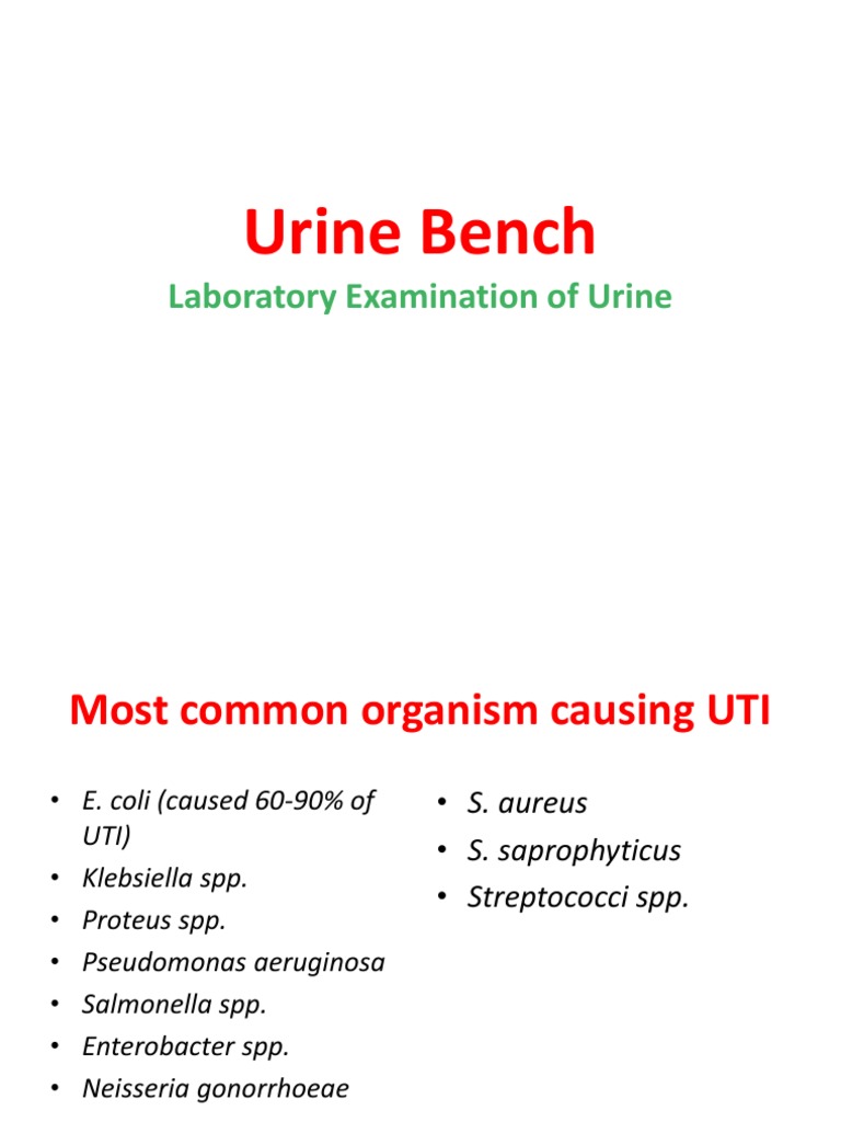 4 - Urine Bench | Download Free PDF | Urinary Tract Infection | Urine