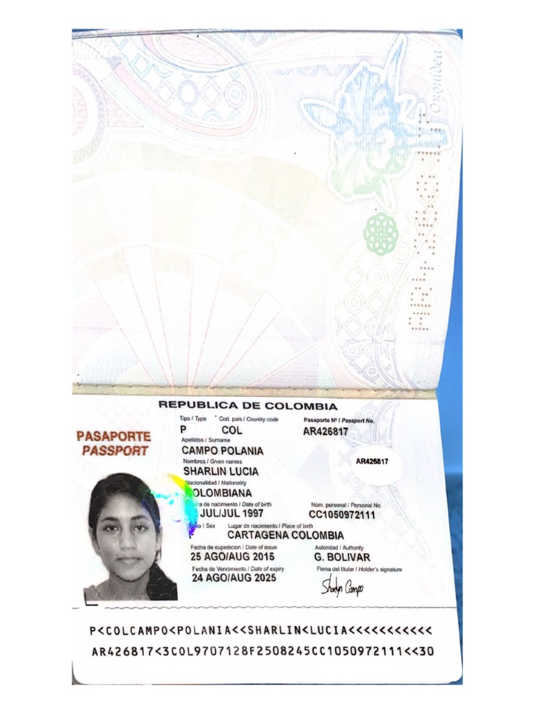 Pasaporte | PDF