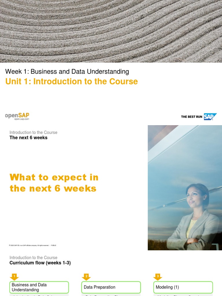 OpenSAP Ds3 Week 1 Unit 1 INTRO Presentation | PDF | Information ...
