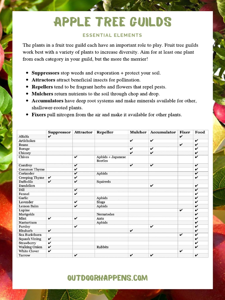 Apple Tree Guild Essentials Guide | PDF