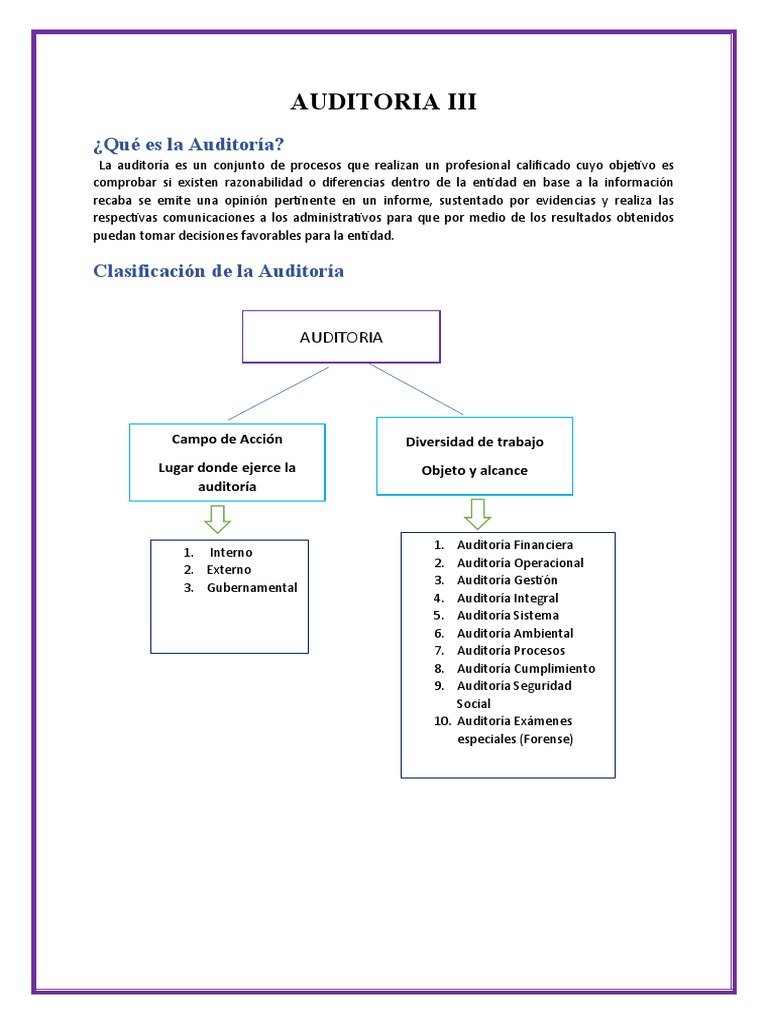 Teoría Auditoria 3 | PDF | Auditoría | Contralor