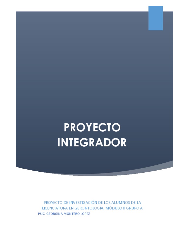 Proyecto Integrador Con Ejemplos | PDF