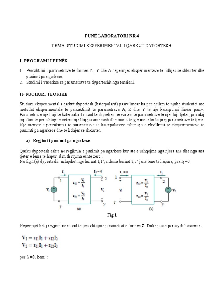 Pune Laboratori - Qarku Dyportesh | PDF
