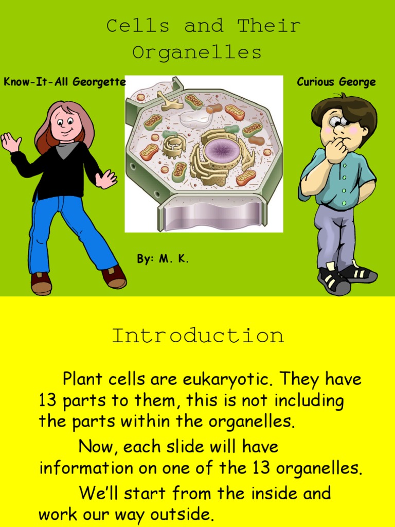 21c - Cells and Organelles Story 4 | PDF | Cell (Biology) | Organelle