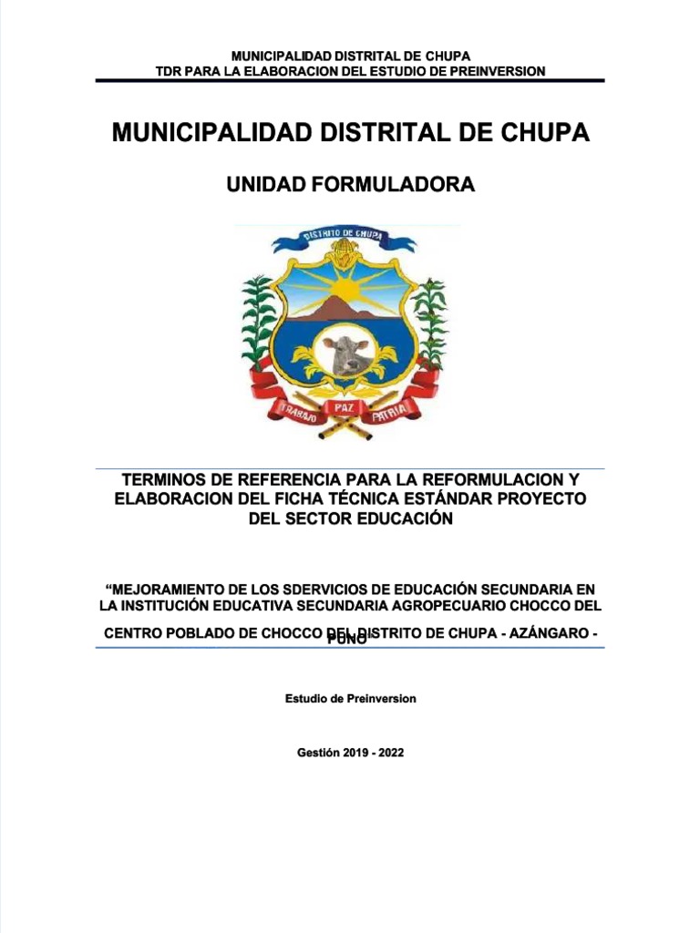 Terminos de Referencia Municipalidad Distrital de Chupa | PDF