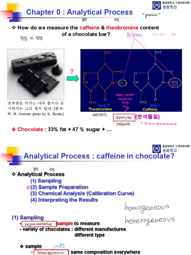 Chapter 0 - Analytical Process-Blank | PDF