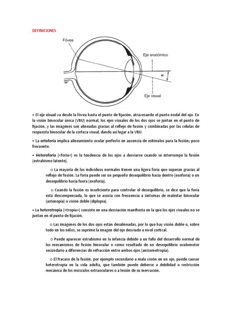 Ejes Visuales y Musculatura Ocular | PDF | Ojo | Ojo humano