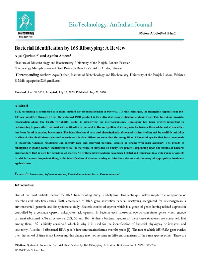 Bacterial Identification by 16s Ribotyping A Review | PDF | Polymerase ...