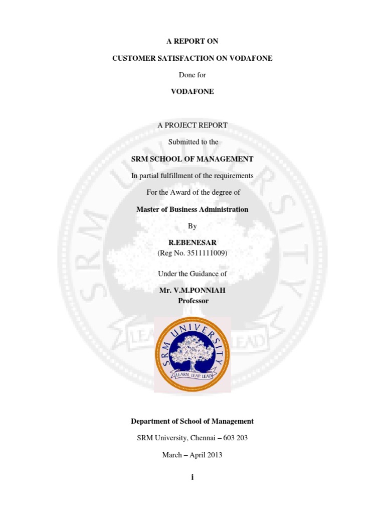 VI Report | PDF | Telecommunications | Information And Communications ...