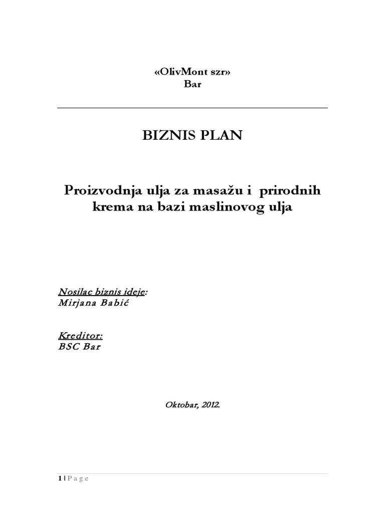 Mirjana Babic - Biznis Plan | PDF