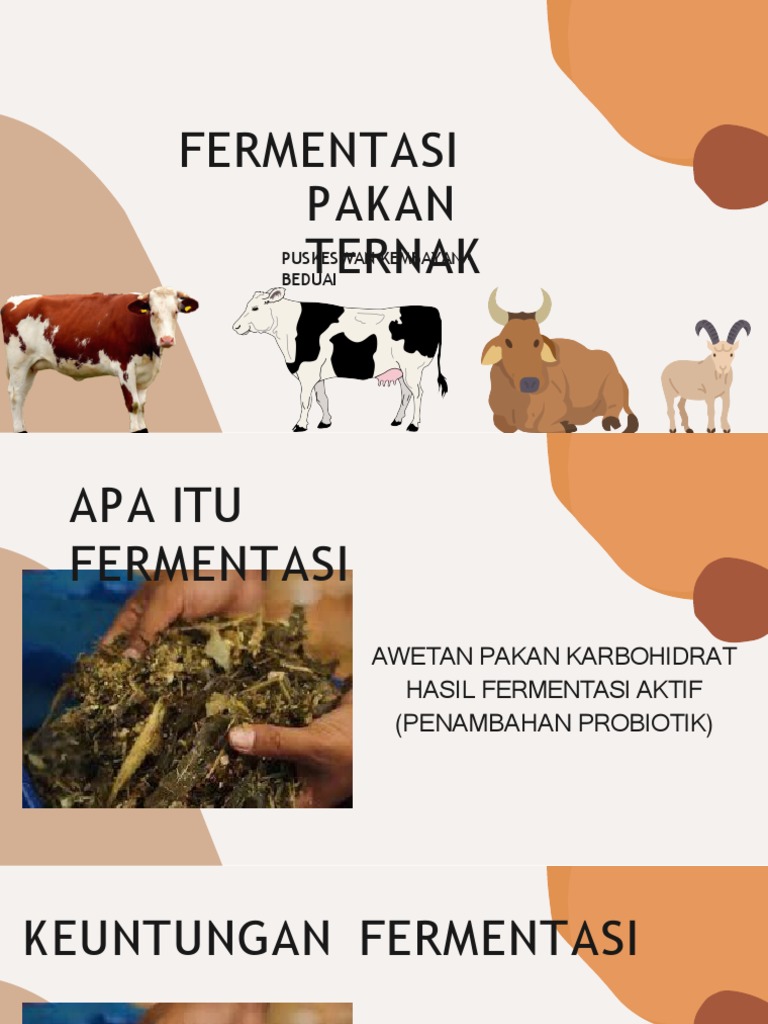 FERMENTASI PAKAN TERNAK | PDF