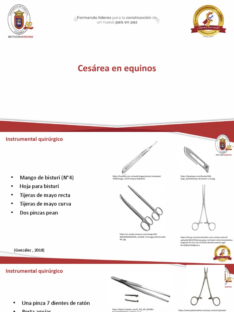 Instrumental Para Cesárea En Equinos Pdf Cirugía Sutura Quirúrgica