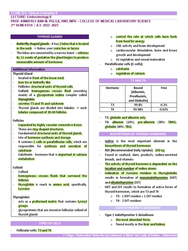 Endocrinology Merge | PDF | Hypothyroidism | Adrenal Gland