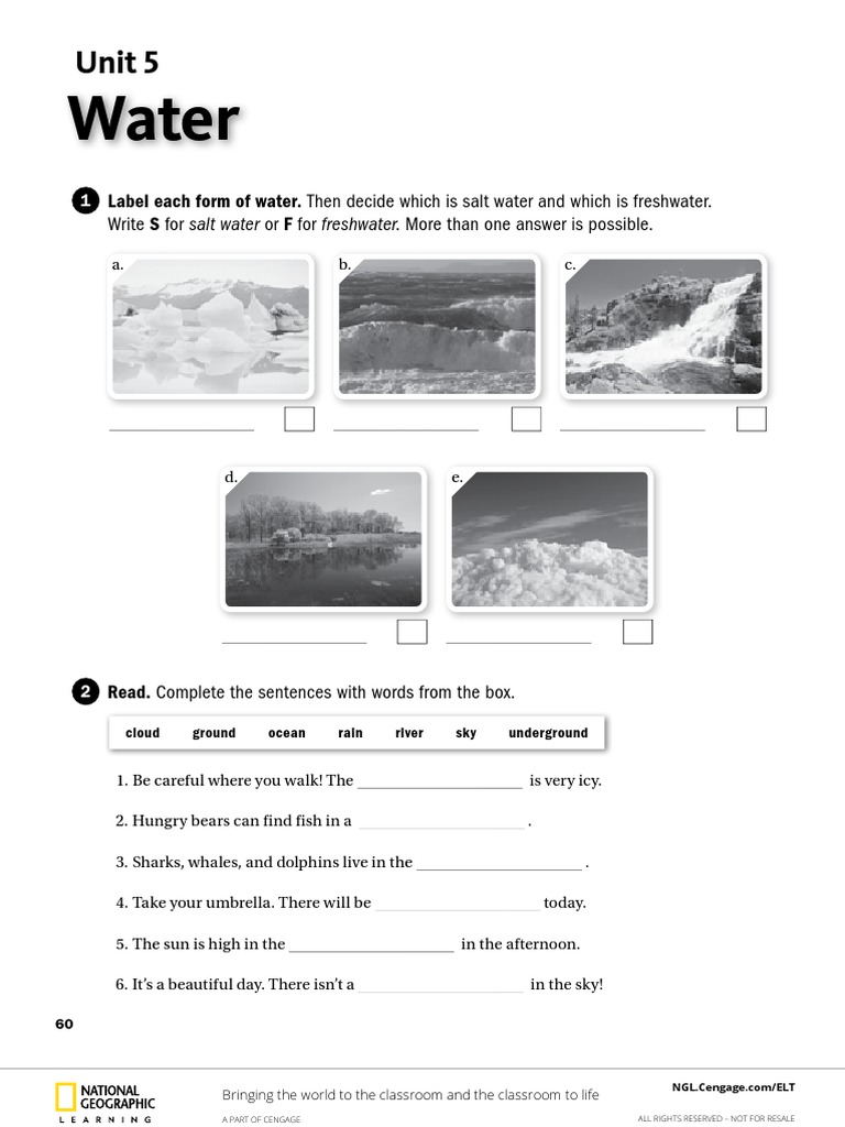 Impact LF WB U5 0 | Download Free PDF | Water | Desert