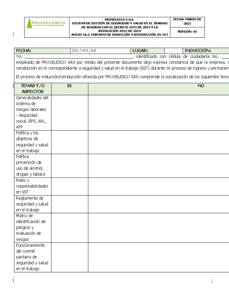 Anexo 10.2. Formato de Inducción y Reinducción SST | PDF