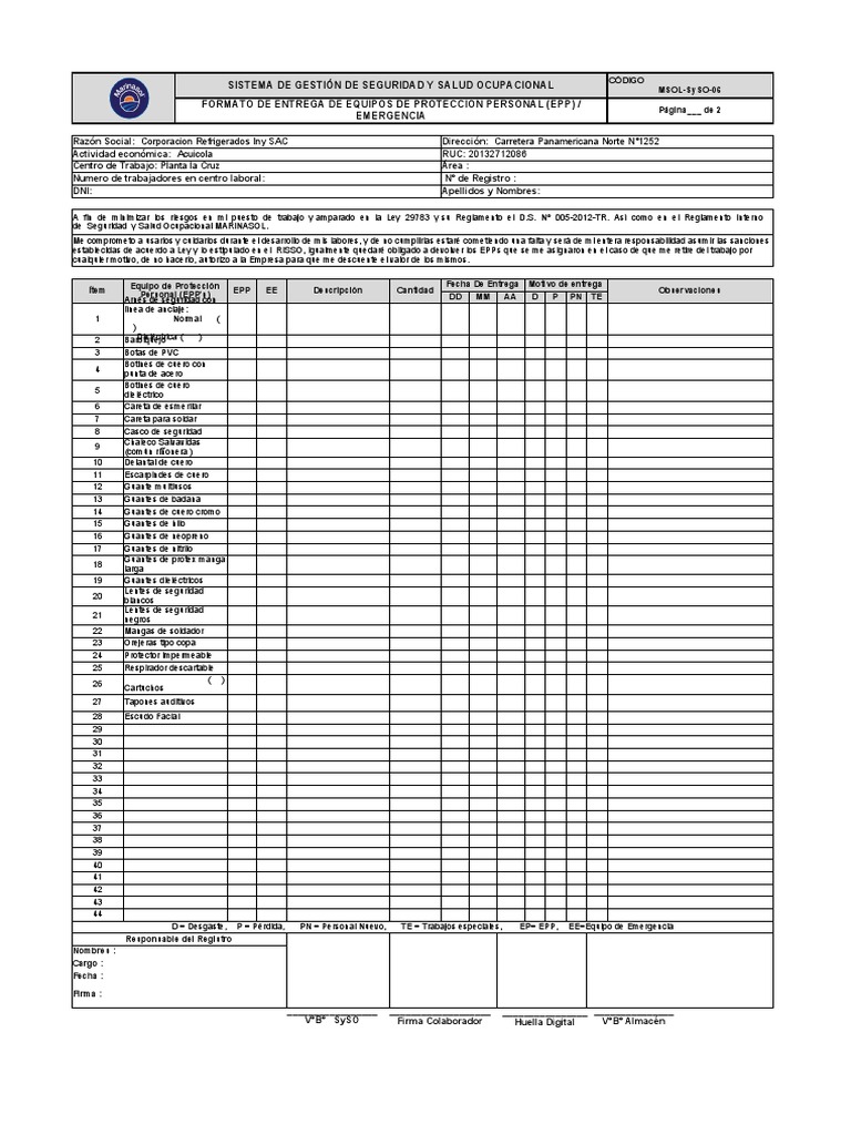 Formato de Entrega de Epp 2022 | PDF