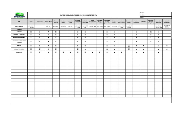 Matriz Epp Por Cargo | PDF