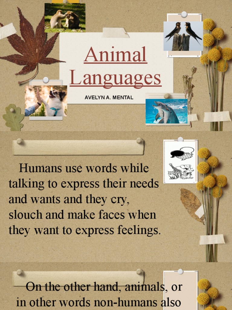 Animal Language Report | PDF | Communication | Bees