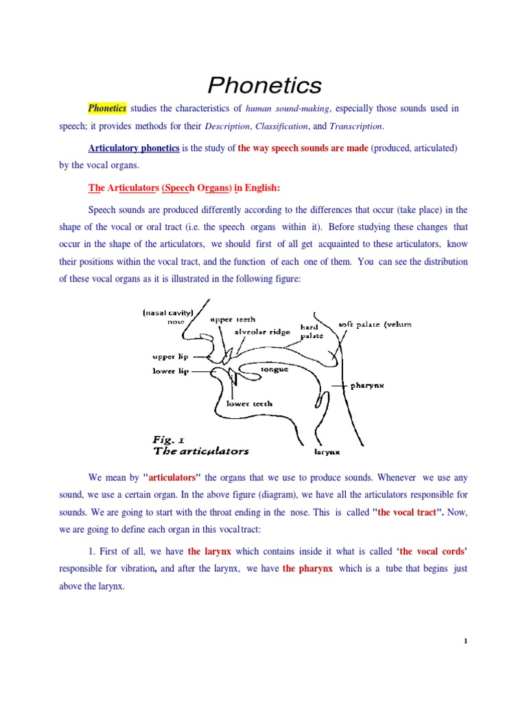 Phonetics (First Year English) Guerfi Hind | PDF | Consonant | Phonetics