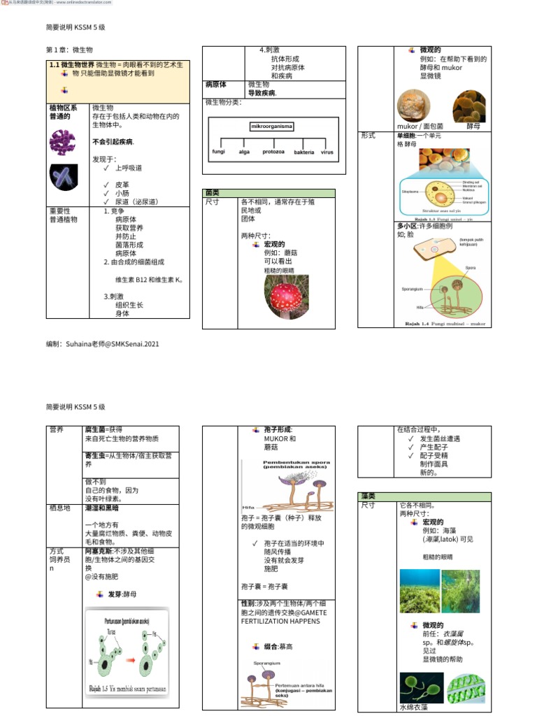 Nota Ringkas Sains Tingkatan 5 Ms Zh Cn Pdf