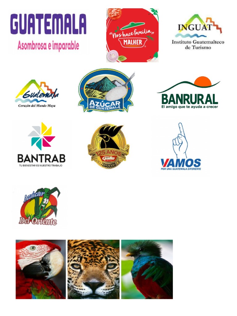 Empresas de Guatemala | PDF