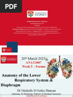 Respiratory System Cut and Paste Activity | PDF | Foreign Language Studies