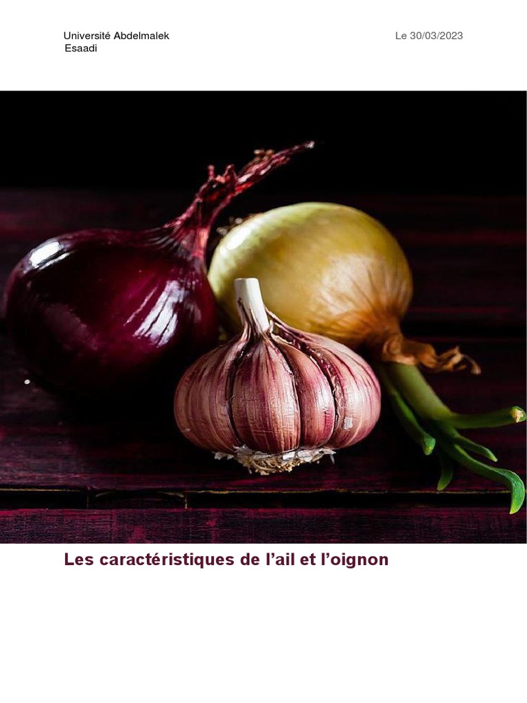 Caractéristiques de l'ail et de l'oignon | PDF | Oignon | Ail