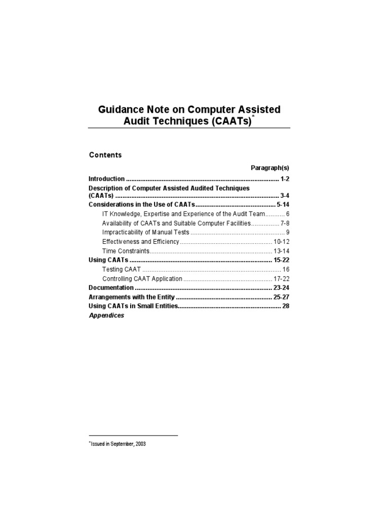 Computer Assisted Audit Techniques Caats Pdf Audit Computer Program