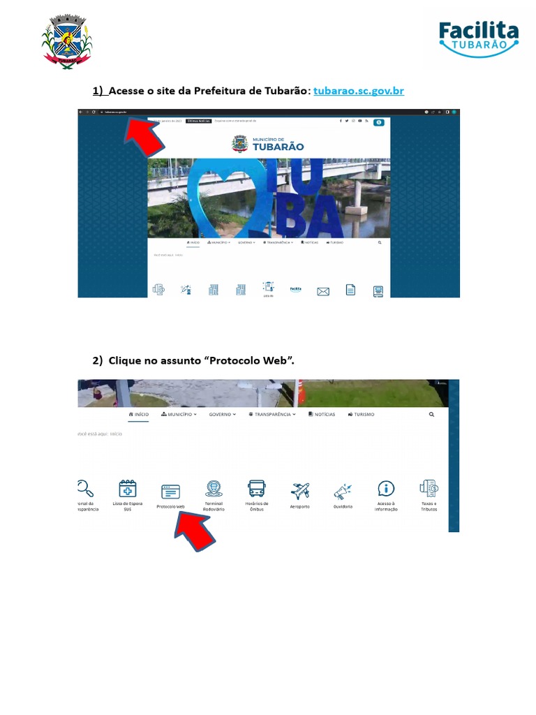 Passo A Passo para Acesso Online PROTOCOLO WEB | PDF | Computadores