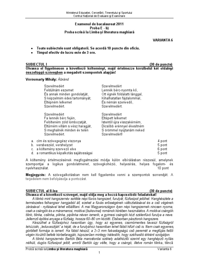 Proba E B Maghiara Subiect 6 | PDF