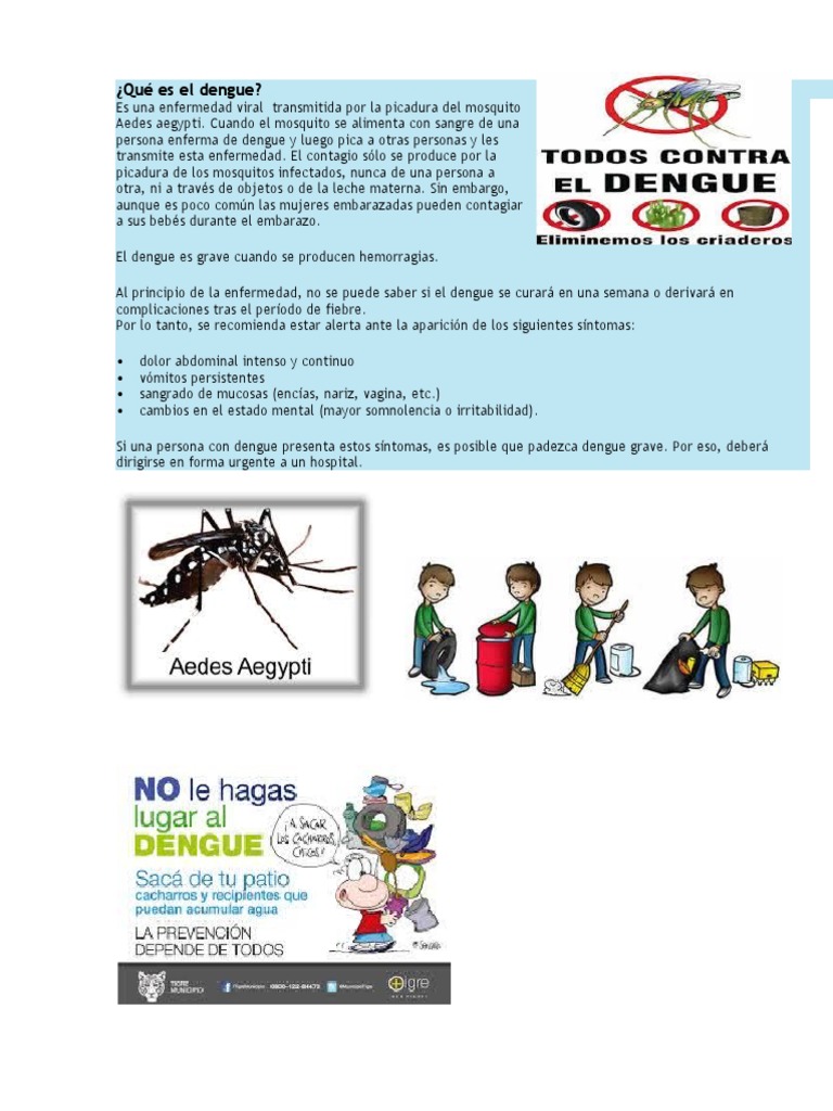 Qué Es El Dengue | PDF