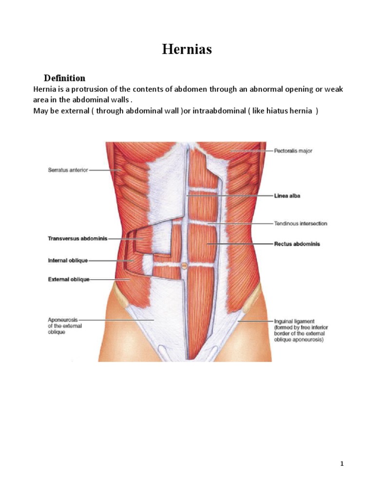 Hernia | PDF | Abdomen | Clinical Medicine