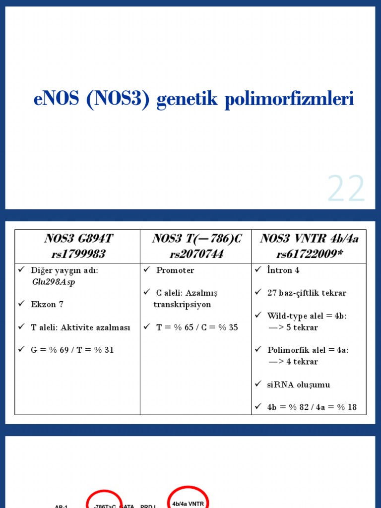NOS3 Genetik Polimorfizmleri - Dr. İlter DEĞER | PDF