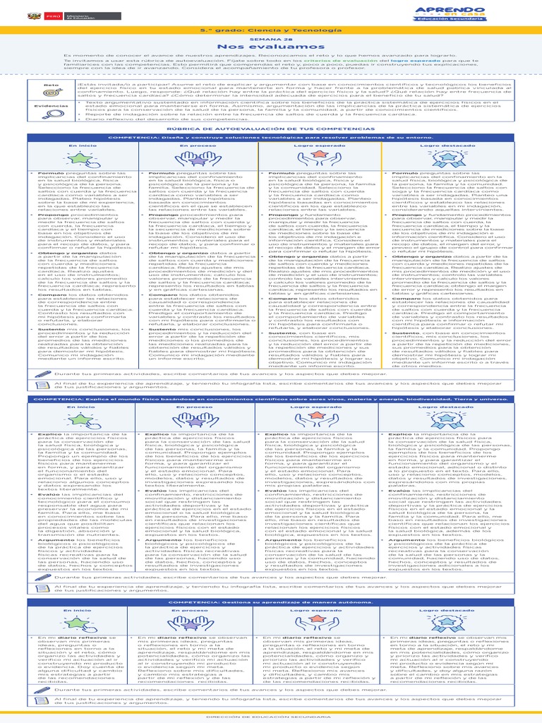 ct5 Rubricas28ff | PDF