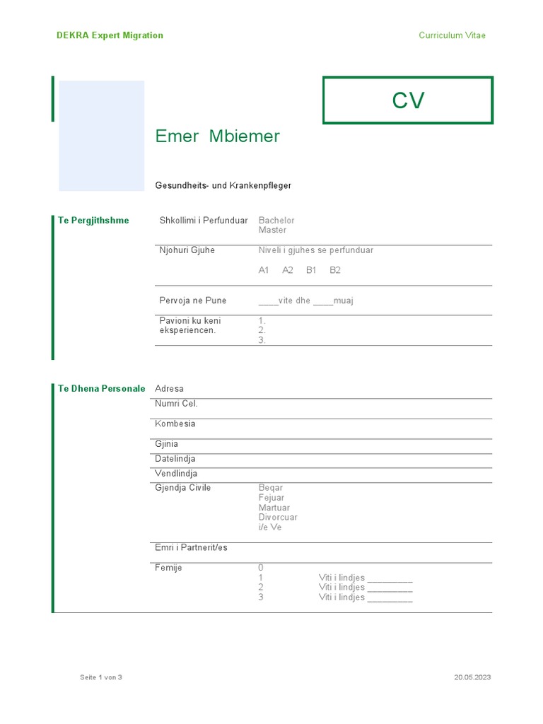 CV Shqip (New Format) | PDF