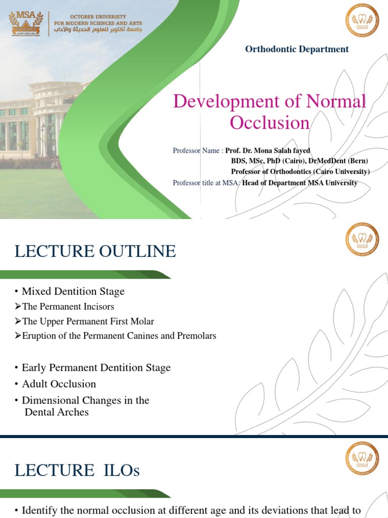 Development of Normal Occlusion Part 2 Copy 2 | PDF | Dental Anatomy ...