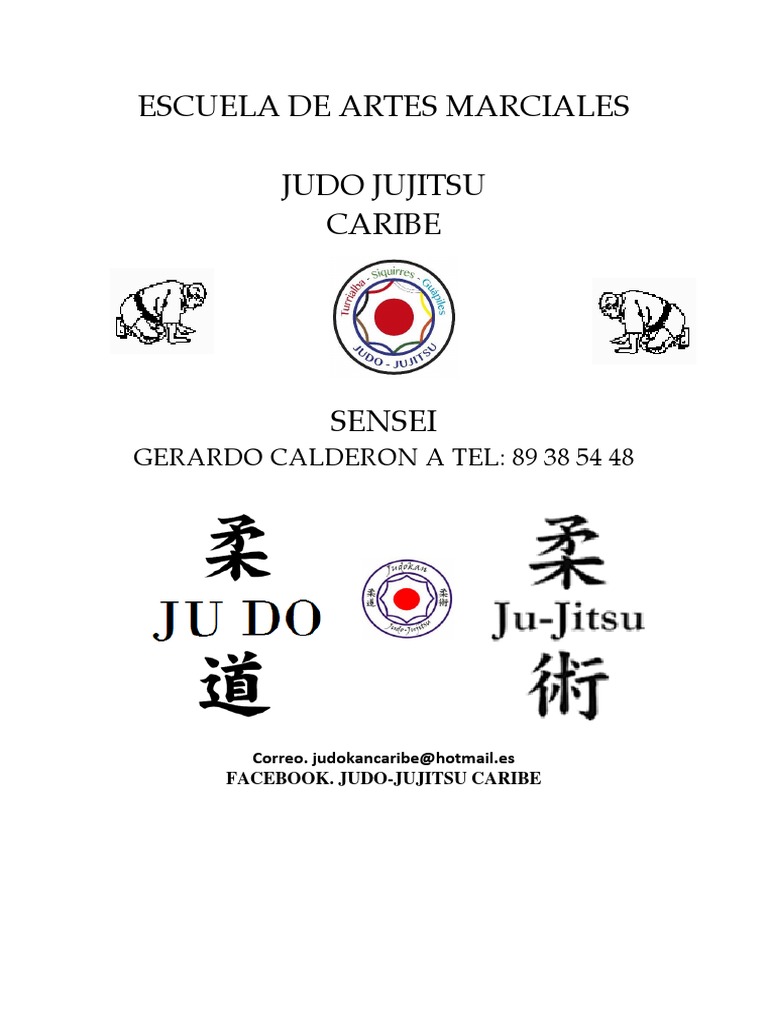 Cinto Amarillo | PDF | Judo | Aikido
