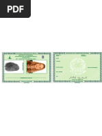 RG - Pernambuco | PDF | Documentos jurídicos | Cidadania