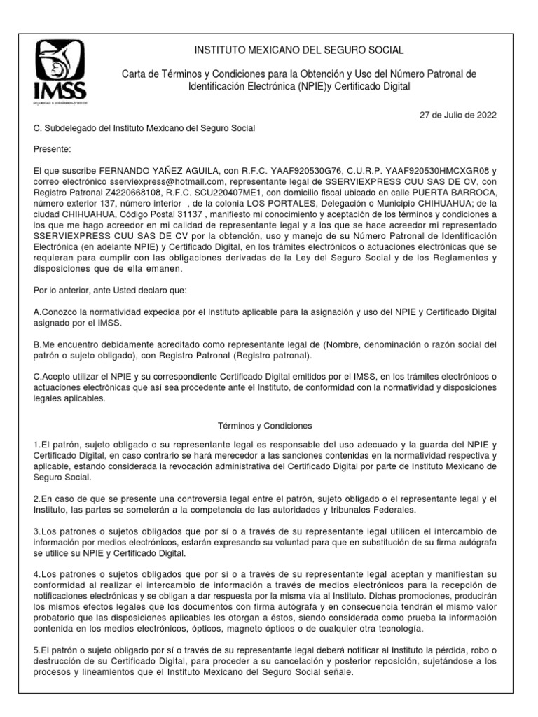 Carta de Terminos y Condiciones NPIE | PDF