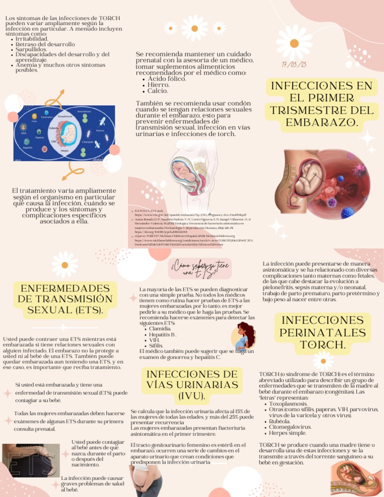 Infecciones Durante El Embarazo | PDF | Infección transmitida ... Infecciones Durante El Embarazo | PDF | Infección transmitida ...