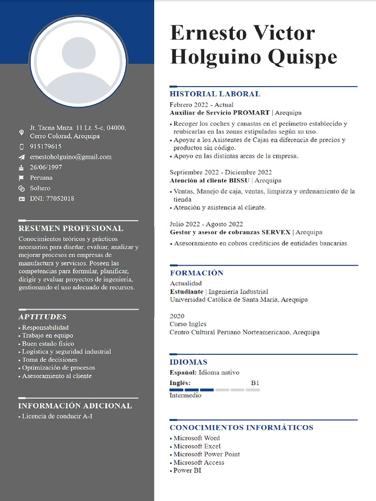 CV - Ernesto Holguino | PDF