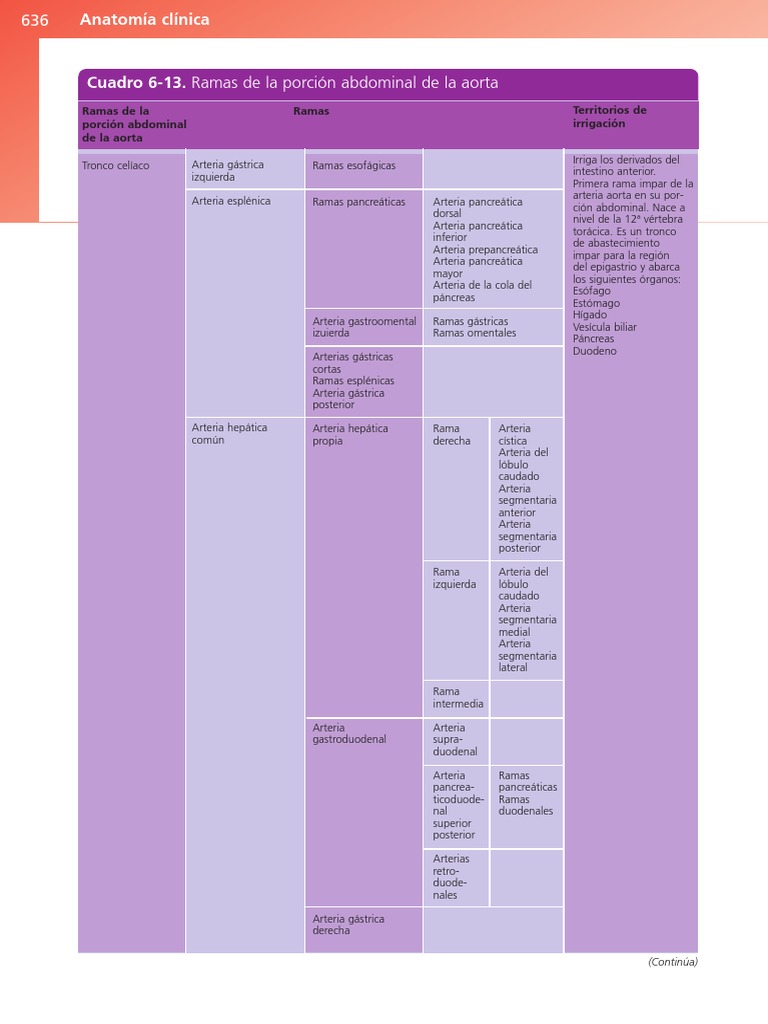 6.13 Cuadro Ramas de La Aorta y Vena Porta | PDF | Abdomen | Órgano ...