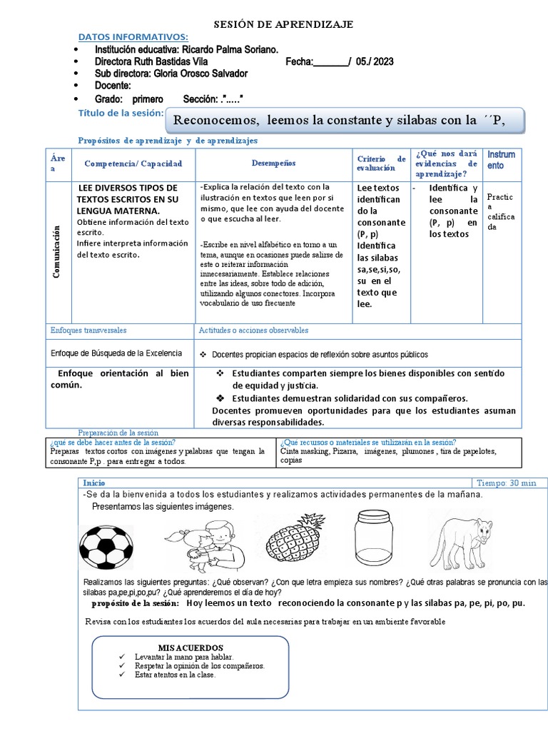 Sesión Com. Silaba Sa, Se, Si, So, Su | PDF | Aprendizaje | Cognición