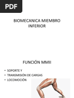 Ángulo Cérvico-Diafisario del Fémur | PDF