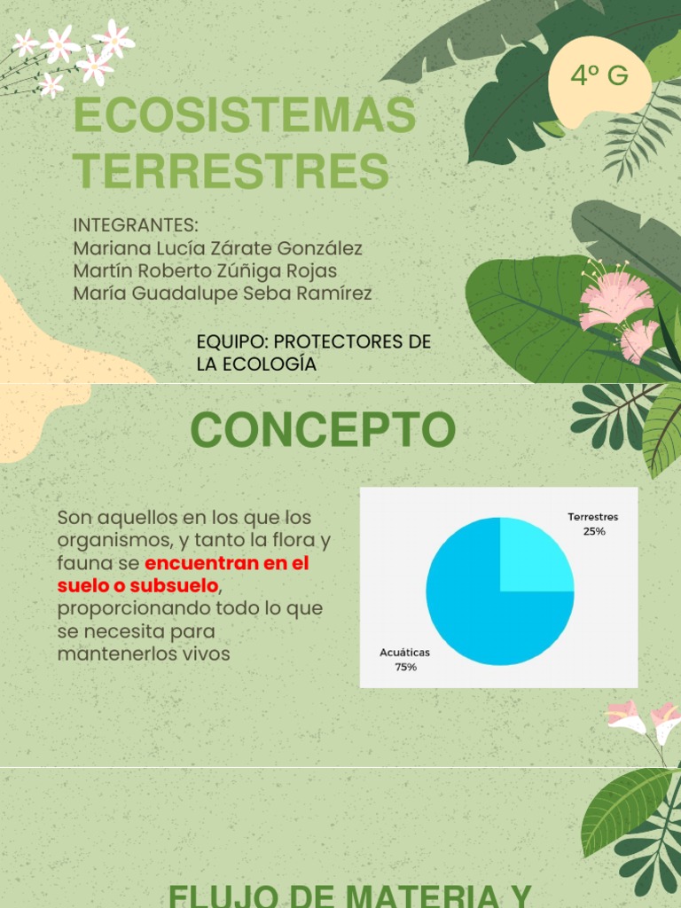Ecosistemas Terrestres Equipo 3 | PDF | Ecosistema | Suelo